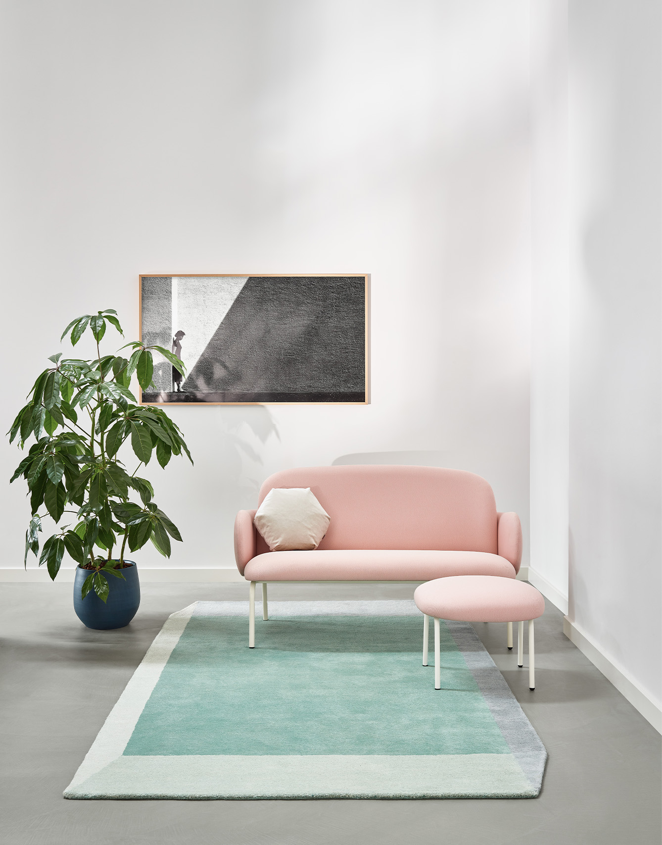 Plus rectangle - puik